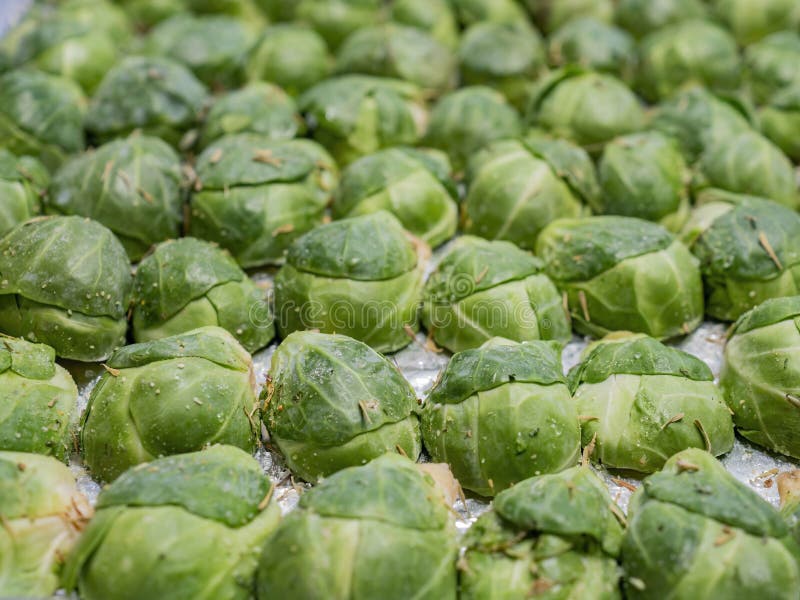 Close Up Shot of Many Brussels Sprout Stock Image - Image of clark ...