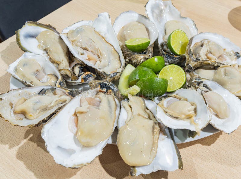 Close Up Shot of Many Fresh Raw Oyster Stock Photo - Image of oyster ...