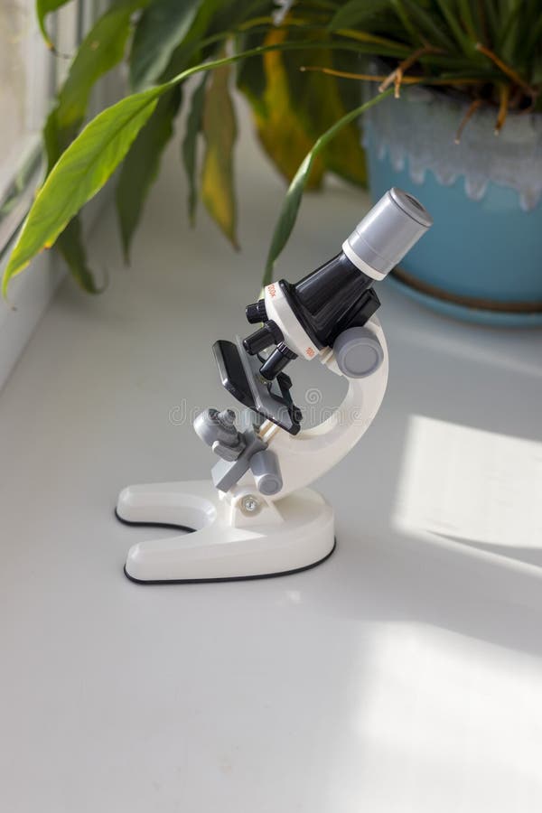 Close Up Shot of the Microscope on the Window. Science Stock Photo ...