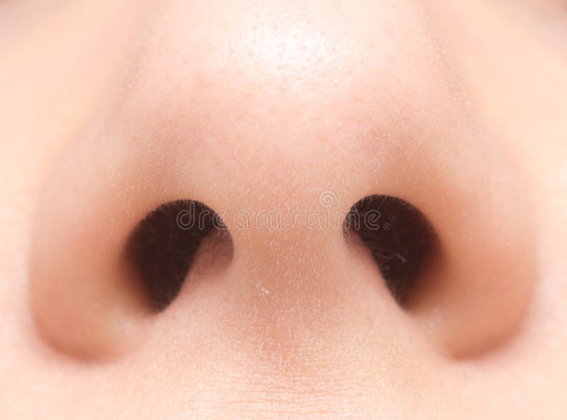Human nose stock photo. Image of oily, natural, closeup - 34999944