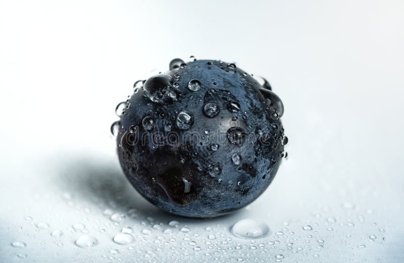 A Close Up Shot of a Purple Grape with Water Droplets Stock Image ...