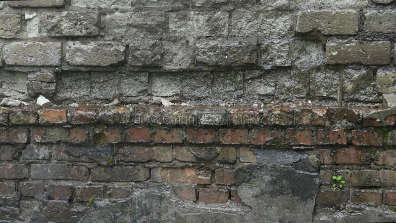 Rain Dripping on Old Ruined Wall and Basement. Close-up Side View Stock ...