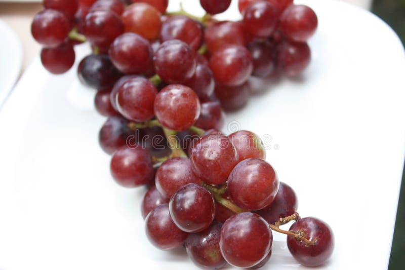 Close-up Shot of the Ripe Chinese Red Grapes. Stock Image - Image of ...