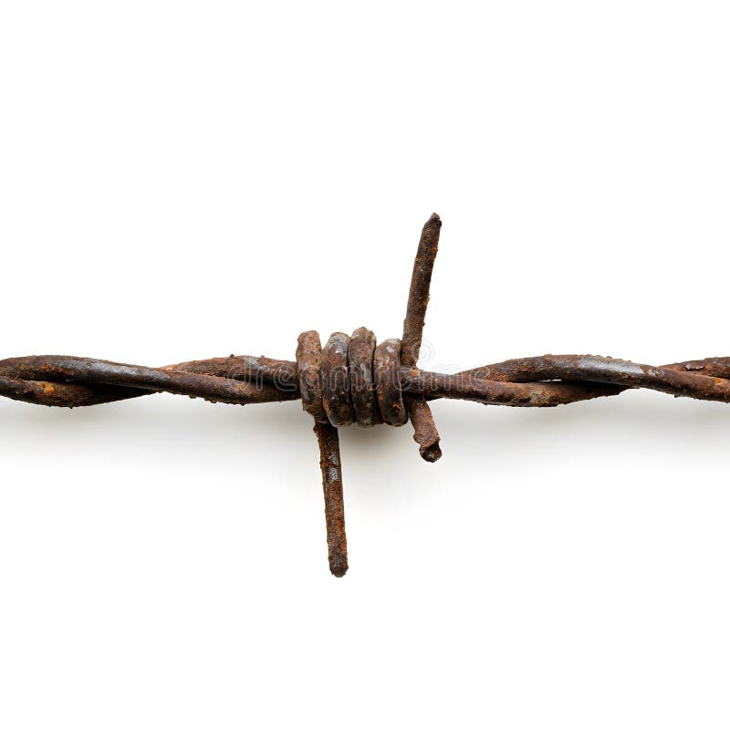 Rusty Barbed Wire Fence Isolated on White Background Stock Illustration ...