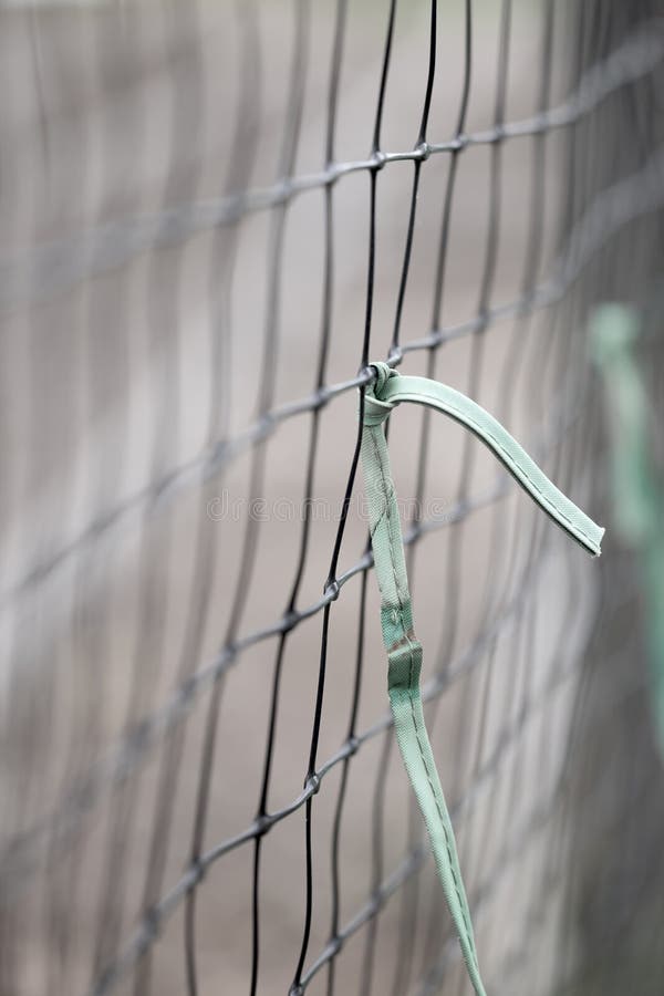 Close Up Shot of Rusty Wire Mesh with Ribbon Tied To the Mesh Stock ...