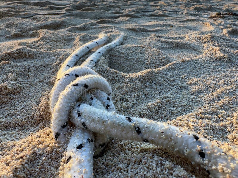 Sunlit Sailors Rope Knot Stock Photos - Free & Royalty-Free Stock ...
