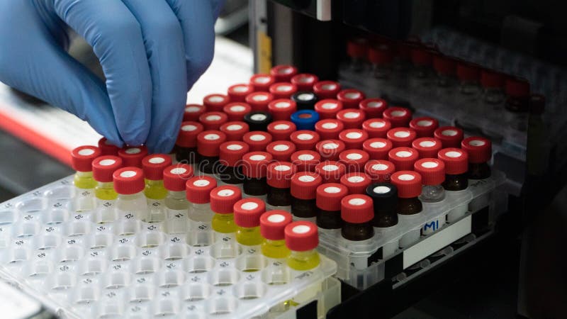Close-up Shot of a Scientist Hand Placing Samples in the Lab Research ...