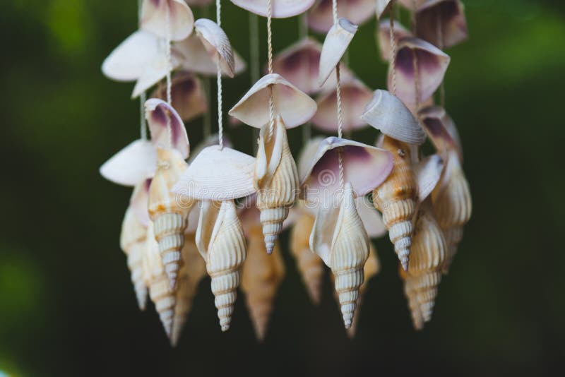 Seashells Hanging on the Rope, Instagram Toning Stock Photo - Image of ...