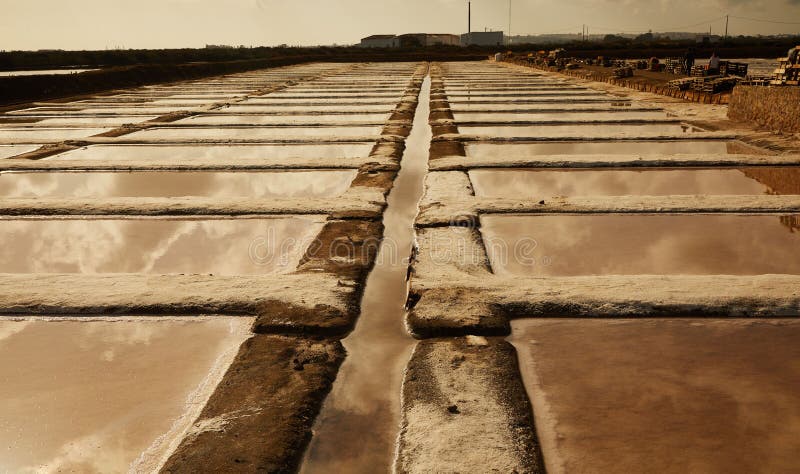 Close-up Shot of Separated Salt Pans in Faro Stock Image - Image of ...
