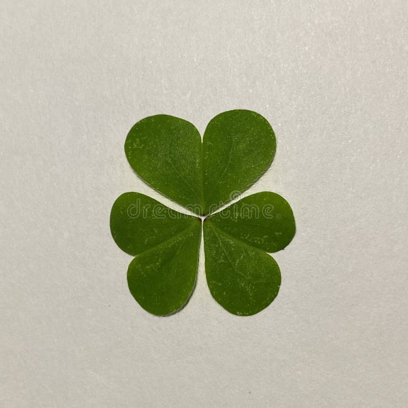 Clover Three Leaf Line Art Stock Photos - Free & Royalty-Free Stock ...