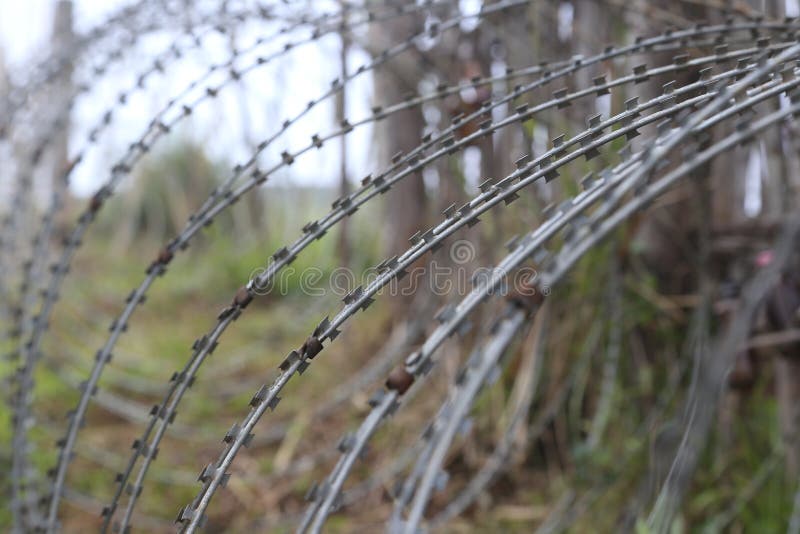 Close Up Shot of a Sharp Barbed Wire Stock Image - Image of blue ...