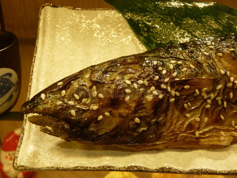 Close Up Shot of Shiny Realistic Fish Model on a White Plate Stock ...