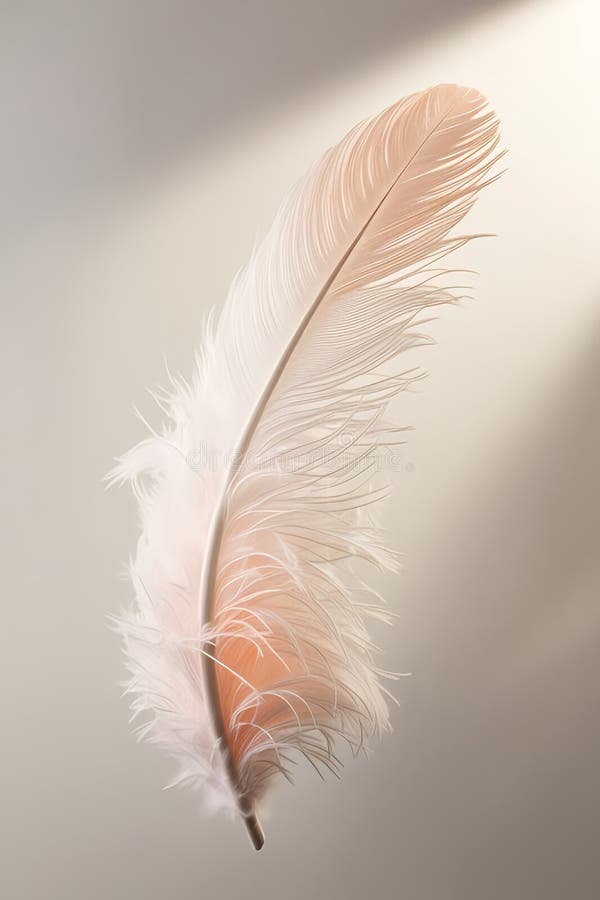 Delicate Feather Close Up stock illustration. Illustration of soft ...