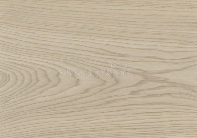 Close Up of Light Colored Wood Grain Texture with Natural Patterns and ...