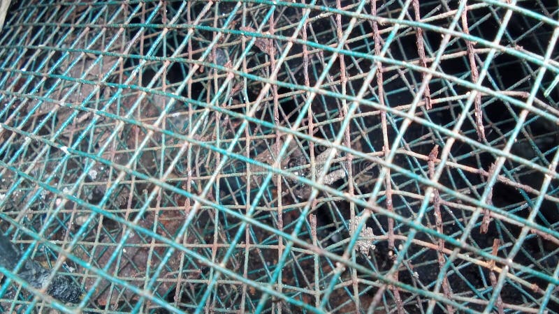 A Close-up Shot Shows a Weathered Metal Mesh, Likely Part of a Cage or ...