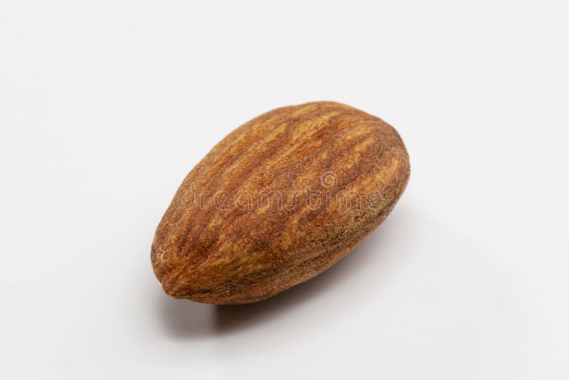 Close Up Shot of a Single Roasted Almond Stock Photo - Image of natural ...