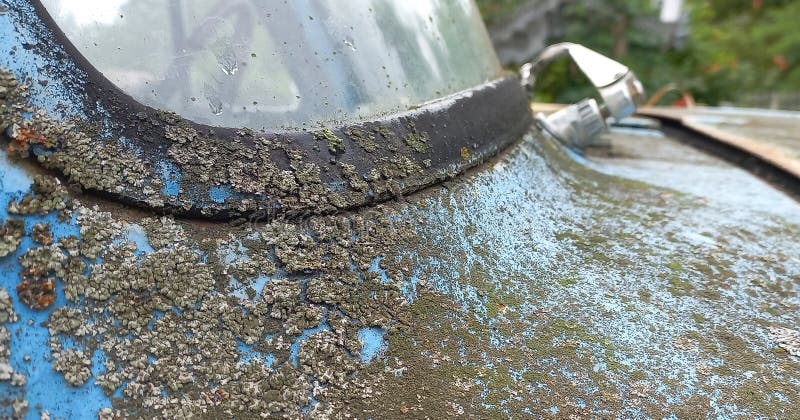 Close Up Shot of a Small Layer of Moss and Rust that Grows on Top of ...