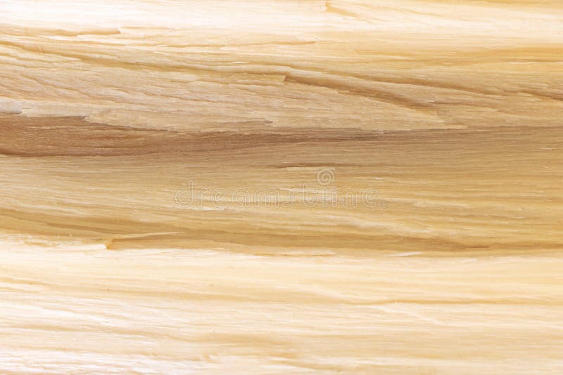 Close Up Shot of Split Wood Texture Background - Good for Design Stock ...