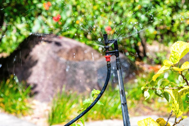 A Close-up Shot of a Sprinkler Watering a Garden Stock Image - Image of ...