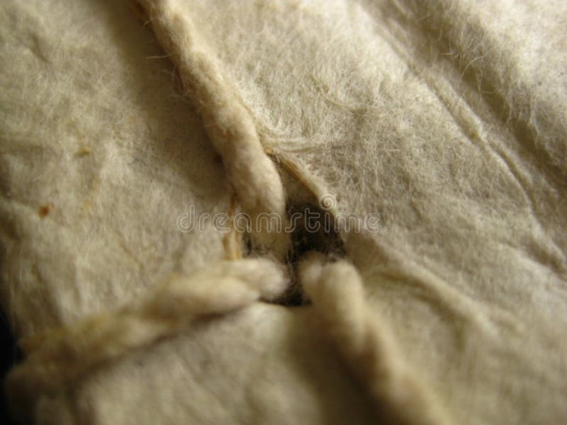 Close-up-shot-of-string-bind Stock Photo - Image of : 87853840