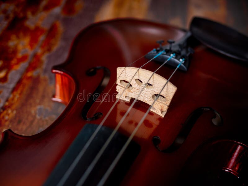 Close Up Shot of the Violin Bridge Made from Maple Wood Stock Image ...