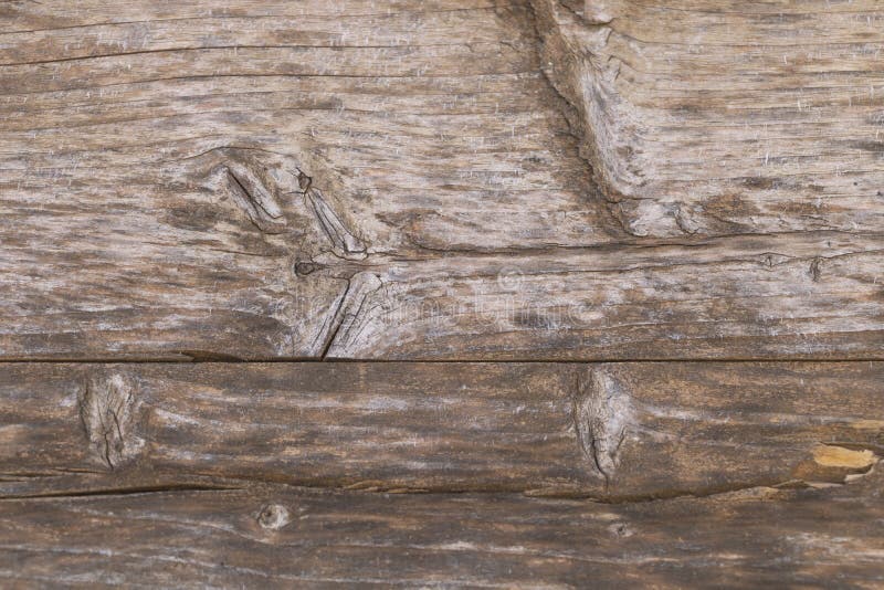 Close Up Shot of a Wood Texture Stock Image - Image of space ...