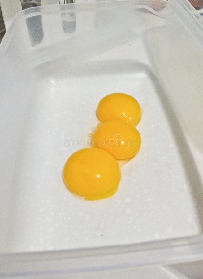 Yellow Egg Yolks Separated from the Egg Whites Stock Image - Image of ...