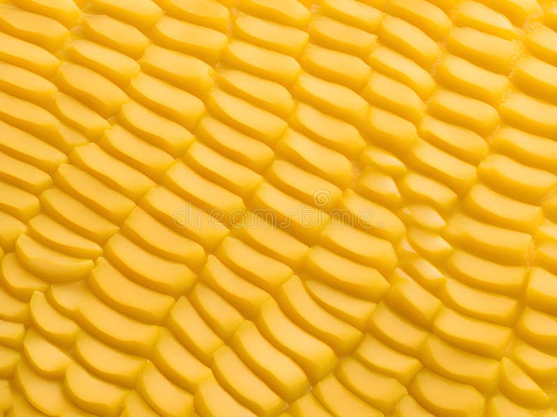 Close Up Shot of Yellow Surface Texture Stock Illustration ...