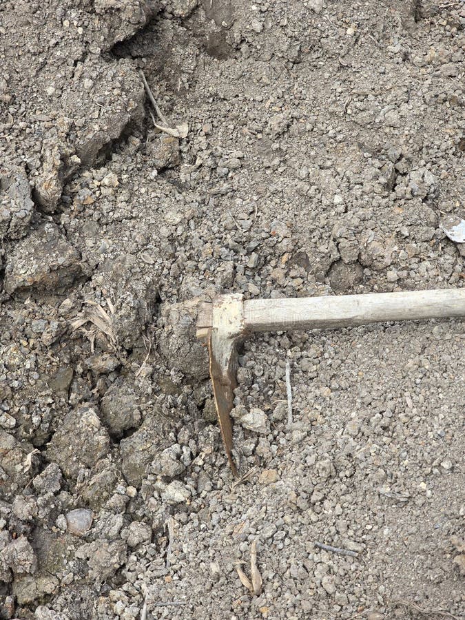 Shovel in the ground stock photo. Image of sand, earth - 348041428