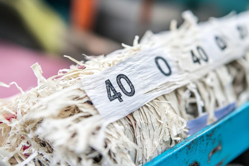 Close-up of Shredded Paper Documents Intended for Recycling ...
