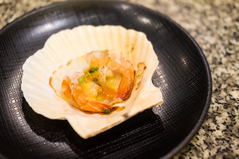 Close Up Shrimp on Seashell Stock Image - Image of burning, healthy ...