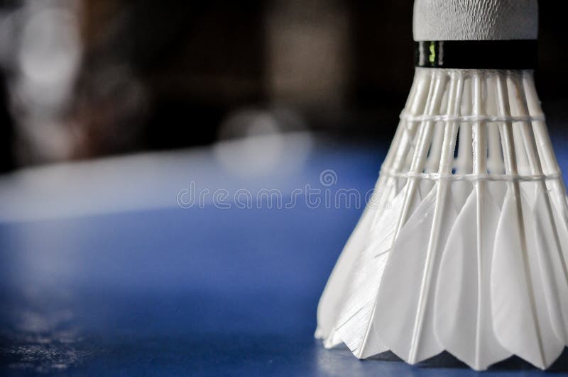 Close-up of Badminton Racket with Shuttle Badminton on the Court Stock ...