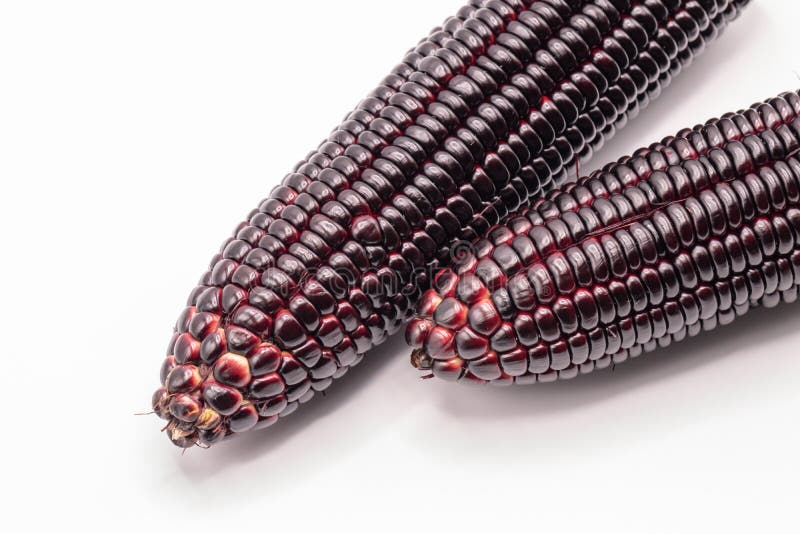 Siam Ruby Queen Corn on Isolate White Background.it Can Eat As a Fresh ...