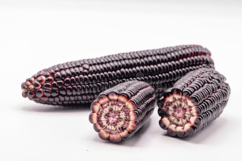 Siam Ruby Queen Corn on Isolate White Background.it Can Eat As a Fresh ...