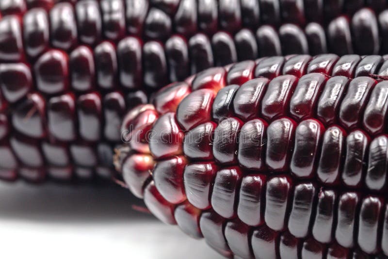 Siam Ruby Queen Corn On Isolate White Background.It Can Eat As A Fresh ...