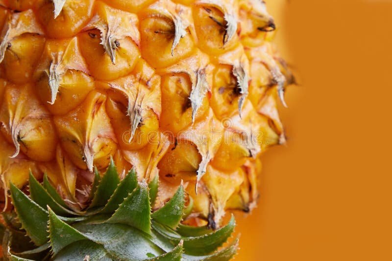 A Close-up of a Side of a Pineapple Fruit Stock Image - Image of ...