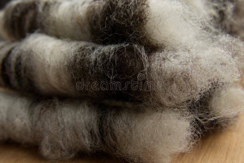 Close-up Side View of a Stack of Small Brown and White Rolags Made of ...