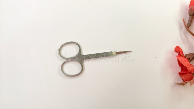 Close Up Silver Mustache Trimmer Scissors Stock Image - Image of beauty ...