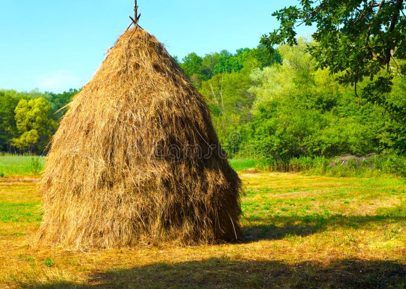 Close-up of a Single Big Haystack Near Forest Stock Photo - Image of ...