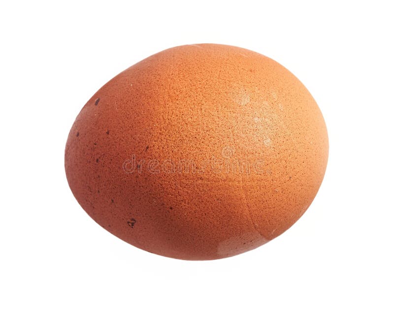Close-up of a Single Brown Chicken Egg Isolated on a White Background ...