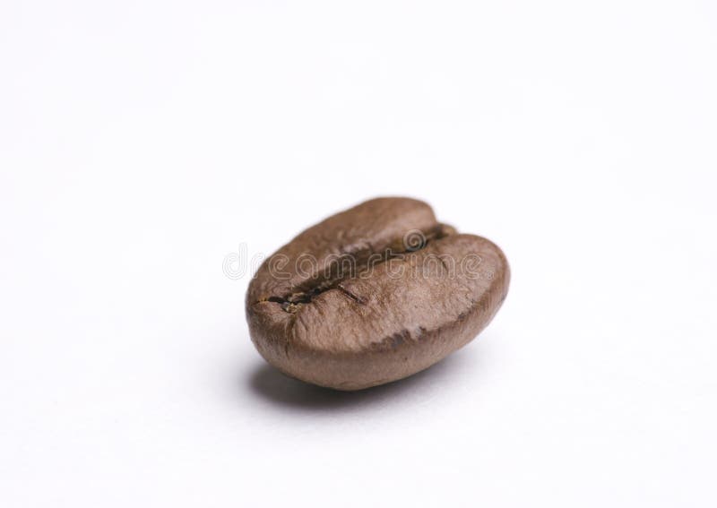 7,253 Single Coffee Bean Stock Photos - Free & Royalty-Free Stock ...