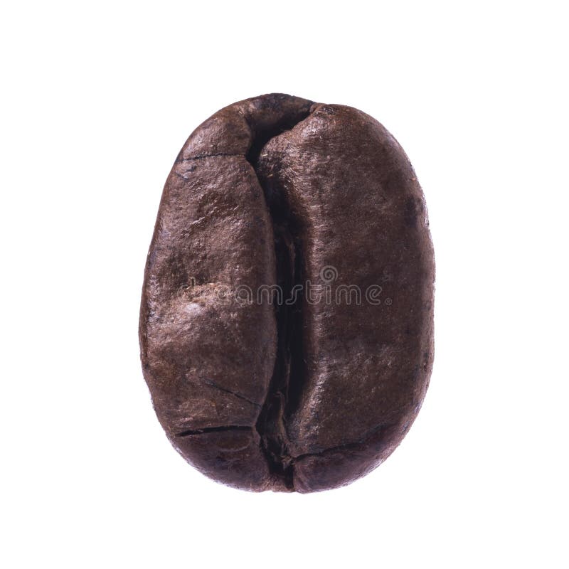 Close Up Single Coffee Bean Stock Photo - Image of aromatic, aroma ...