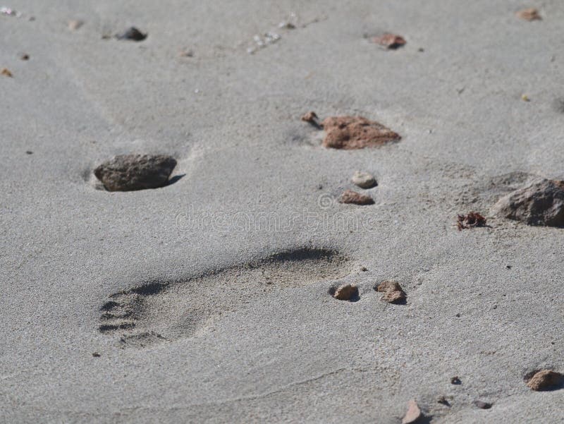 Close Up of Single Foot Print on the Sand with Stones an Copy Space ...