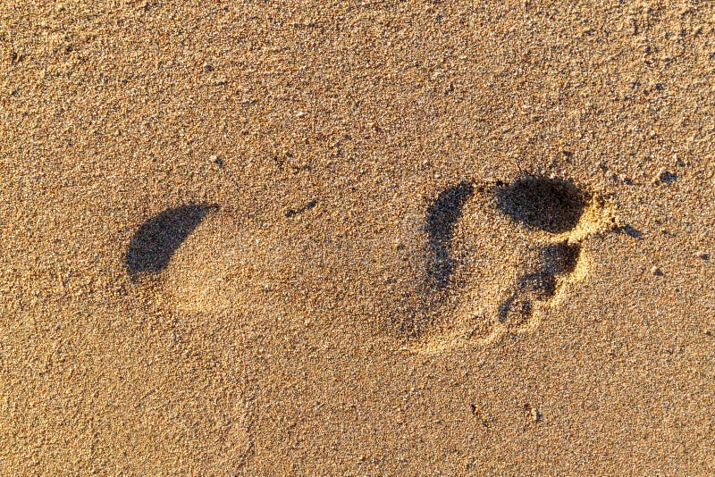 Close-up of Single Footprint on the Sand Beach. Top View Stock Photo ...