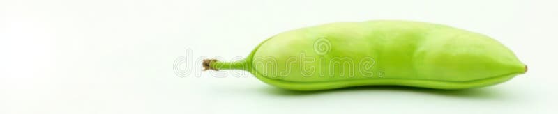 Close Up of Single Lima Bean, Pristine White Background , Protein, Bean ...