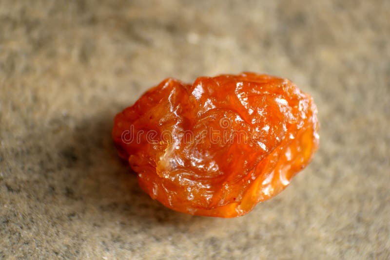 Close up of single raisin stock image. Image of texture - 235591647