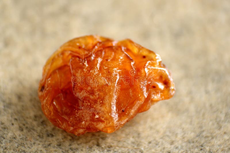 Close up of single raisin stock image. Image of bright - 235591659
