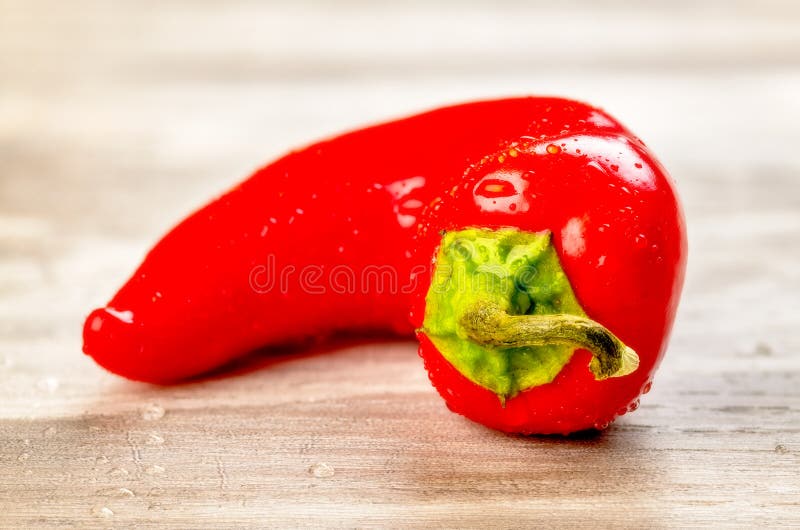 Close Up of a Single Red Hot Pepper Stock Photo - Image of life, water ...