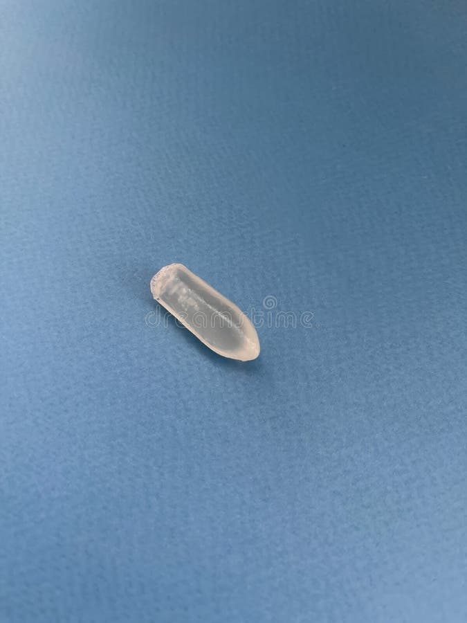 Close-up of Single Rice Grain on Blue Background Stock Photo - Image of ...