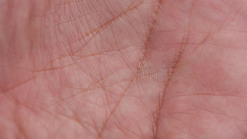 Skin Surface Texture of Human Hands Palms in 4K Stock Video - Video of ...
